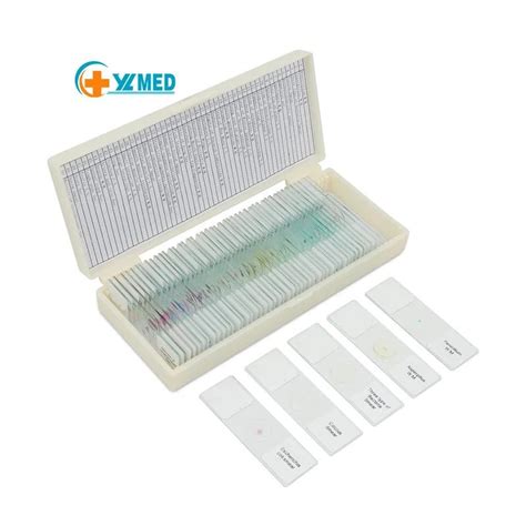 10 Slides Of Biology And Histology Prepared Microbiological Bacterial