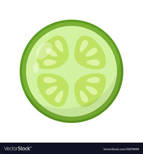 Slice Cucumber Isolated On White Background Vector Image