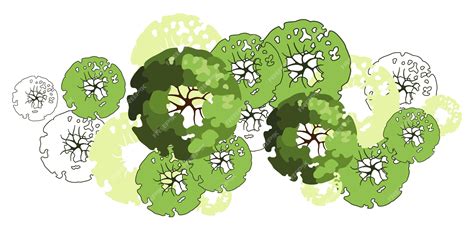 Premium Vector Tree For Architectural Floor Plans Entourage Various Trees Bushes And Shrubs