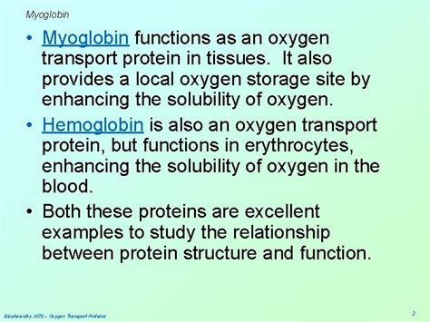 Biochemistry 3070 Oxygen Transport Proteins Myoglobin Hemoglobin Biochemistry