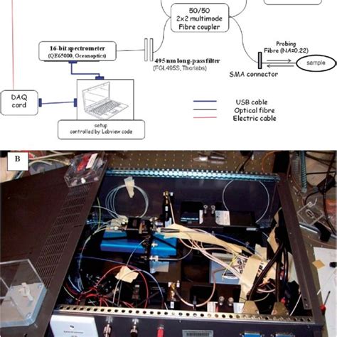Pdf Total Viable Bacterial Count Using A Real Time All Fibre Spectroscopic System