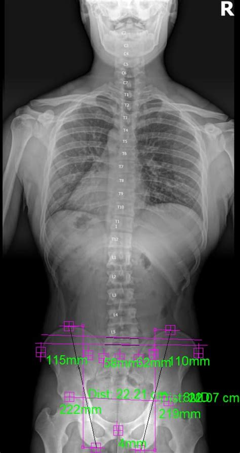 Linq Dr Jonathan Dai Dc