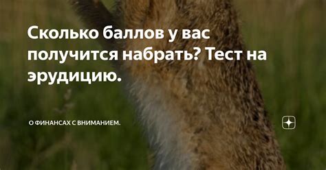 Сколько баллов у вас получится набрать Тест на эрудицию Тестовик тесты с вопросами на