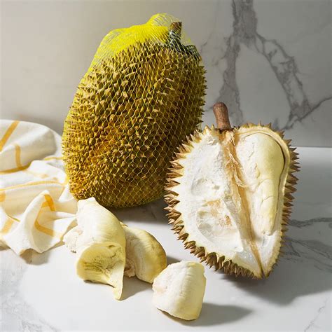 쿠맛집 뾰족한 껍질 속에 노란 과육을 품고 있는 두리안 과일의 왕으로 불리지만 악마의 과일이라는