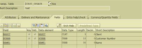 SAP Technical How To Create A Update Function Module