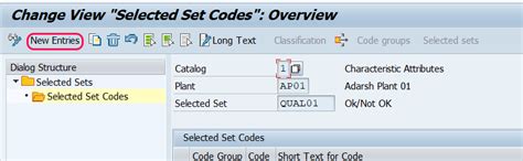 How To Define Selected Sets In Sap Qm Sap Tutorials