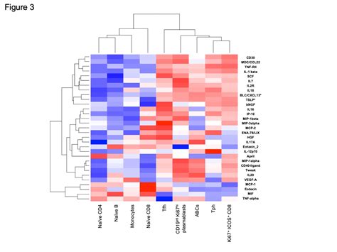 Longitudinal Cytof Immunophenotyping Reveals Distinct Patterns Of T Cell B Cell Dysregulation In