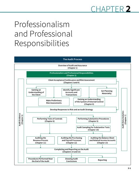 3005 Auditing A Practical Approach With Data Analytics By Raymond 2 2 Professionalism And