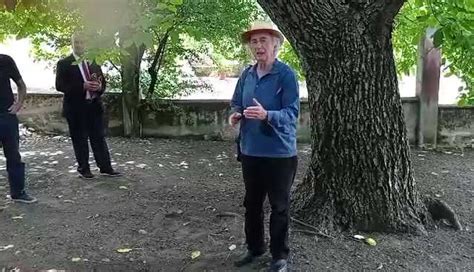 Средби под јаворите Видое Подгорец Home Facebook