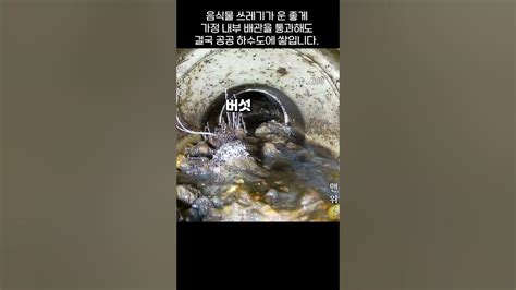 음식물 쓰레기를 변기에 버리면 안 되는 이유 Youtube