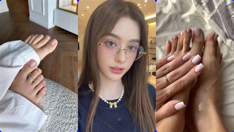 Shelter In Forest Los Angeles Ca