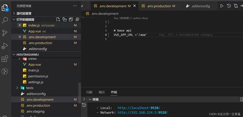 环境变量在vue项目中的应用 Csdn博客