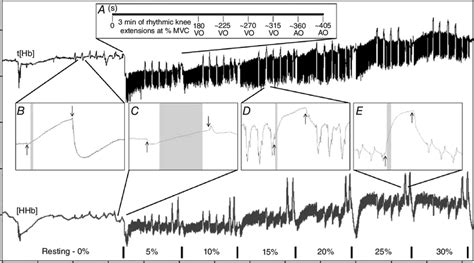 Experimental Protocol Representative Example Of Near Infrared