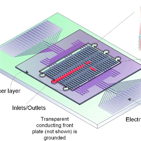 Microfluidic Platform Based On Electrowetting Integrating Continuous Download Scientific