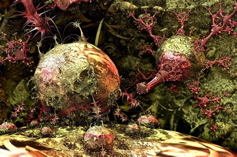 Meta Analysis Identifies Four New Genetic Risk Factors For Testicular Cancer