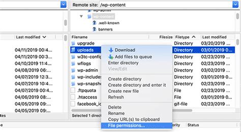 How To Fix Image Upload Issue In WordPress Step By Step