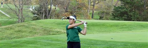 Classifications Gap Adaptive