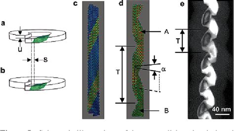 Figure 2 From Helical Crystalline Sic Sio2 Core−shell Nanowires Semantic Scholar