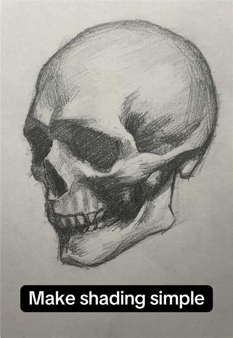 How To Draw A Human Skull