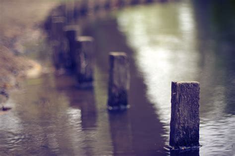 Wp Native Gallery Example Legendary Kreations