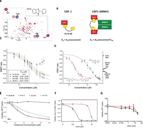 A Small Molecule Inhibitor Of The Aberrant Transcription Factor Cbfβ