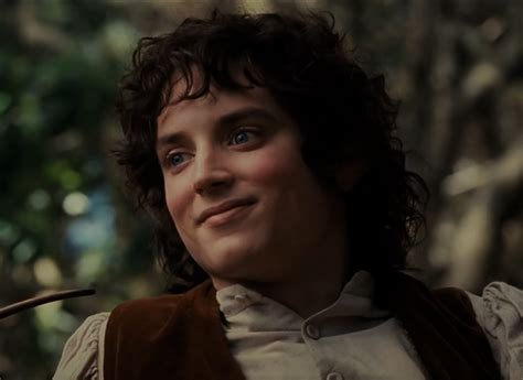 Frodo Baggins Smile 2 Lord Of The Rings The Hobbit Fellowship Of