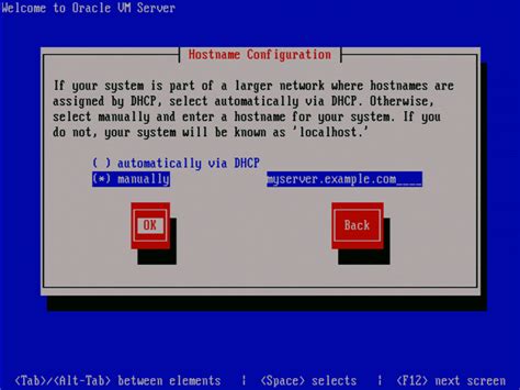 22 Installing Oracle Vm Server From A Cd