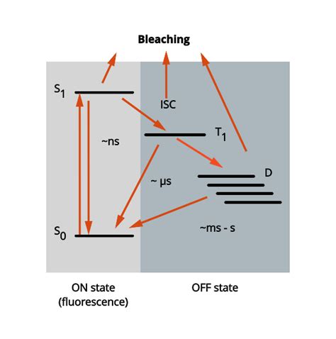 Index Of Images LM Module