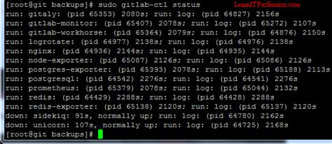 Backup And Restore Gitlab Omnibus On Centos 7