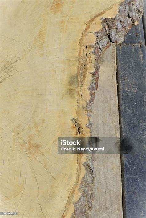 나무 줄기 조각으로 만든 소박한 커피 테이블의 세부 사항 0명에 대한 스톡 사진 및 기타 이미지 0명 널판지 목재 재료 Istock