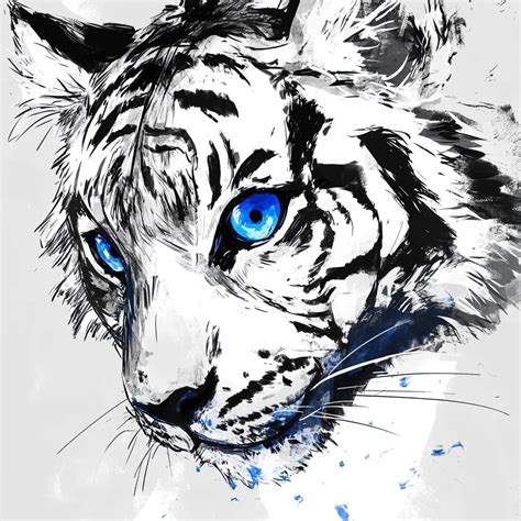 炎を宿したトラ顔の怒りと迫力｜イラスト・フリー素材なら「シンテリ」