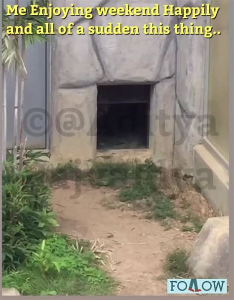 [video] Aditya Rajvaidya On Linkedin Monday Mondayagain Mondayblues Mondayvibes Newweek