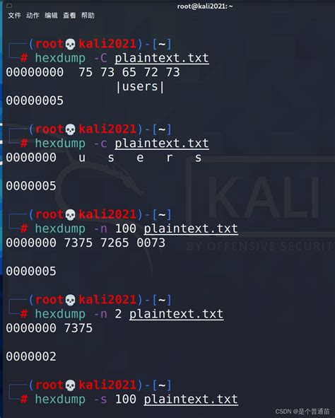 Kali Linux使用命令进行16编码、使用hexdump命令查看各类文件kali Xxd Csdn博客