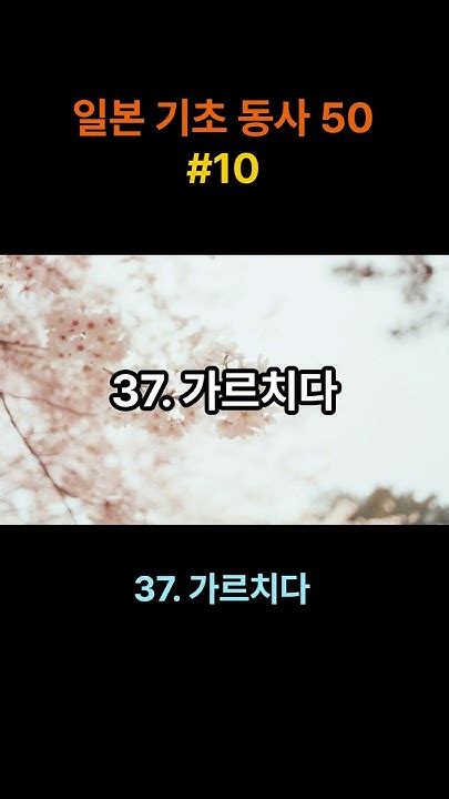 일본어 기초 동사1 일본어 일본어기초회화 일본어숏츠 일본어동사일어동사일어회화반복일본어 Youtube