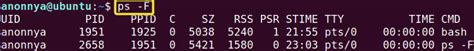 The Ps Command In Linux Practical Examples LinuxSimply