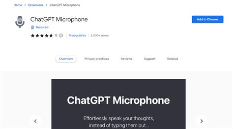 Chatgpt Microphone