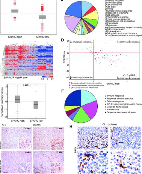 Differential Gene Expression According To Sparc Levels In B Nhls A Download Scientific