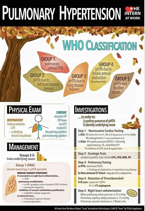 Nte®️n🅰️l Ⓜ️edℹ©️ℹne On Twitter Pulmonary Hypertension 🫁 Pah