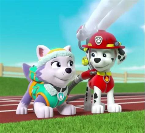 Rocky X Everest Paw Patrol Relation Ship Wiki Fandom Powered By Wikia