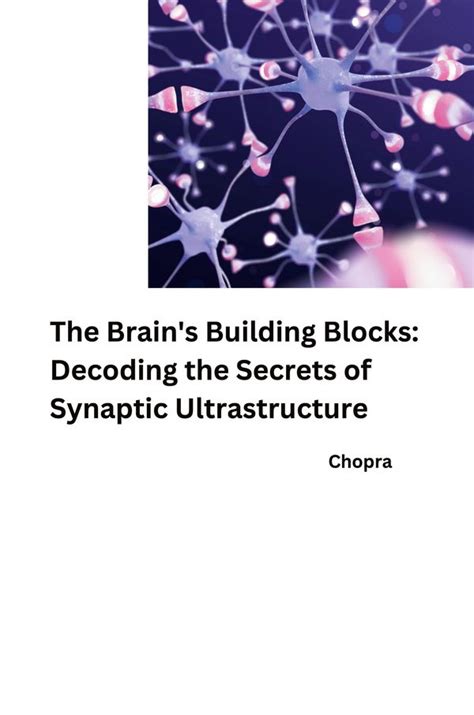 The Brains Building Blocks Decoding The Secrets Of Synaptic