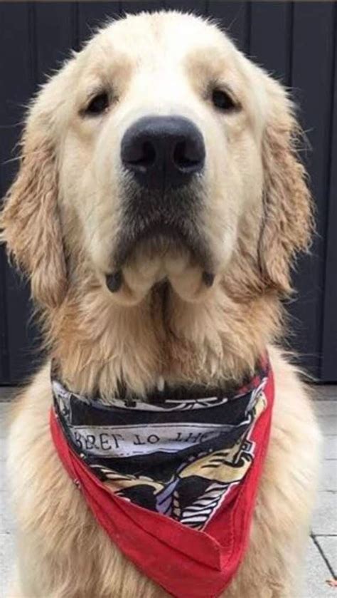 Ignacio Viale Viale Nacho • Instagram Photos And Videos