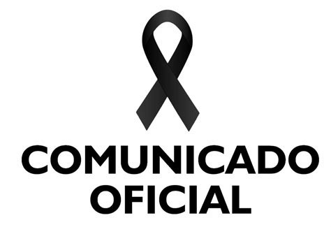 Notícia Comunicado Oficial Prefeitura Municipal De Arvorezinha