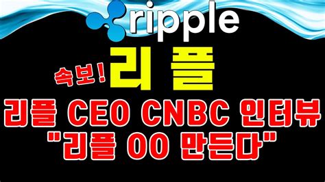 리플 속보 리플ceo Cnbc 인터뷰 리플 Oo 만든다 Youtube