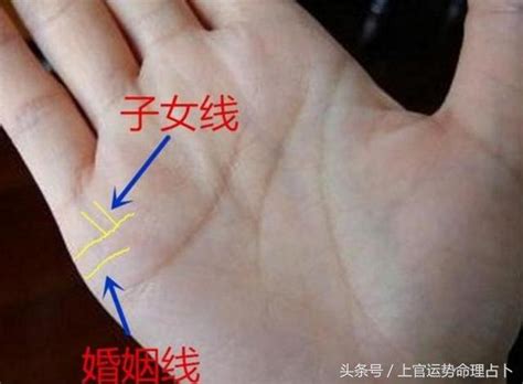 男子命比黃連苦不堪言手相中年前定吃苦中苦後必大發 每日頭條
