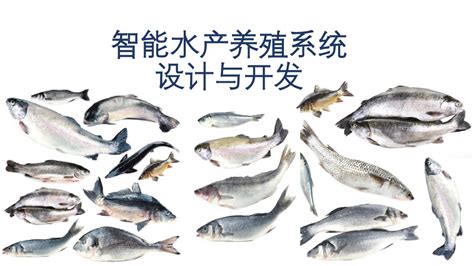 智能水产养殖系统 文档之家