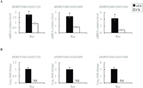 Validation Of Expression Profile For Three Candidate Genes By Qrt Pcr Download Scientific