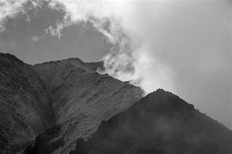 Lopunny Lopunny Smogon