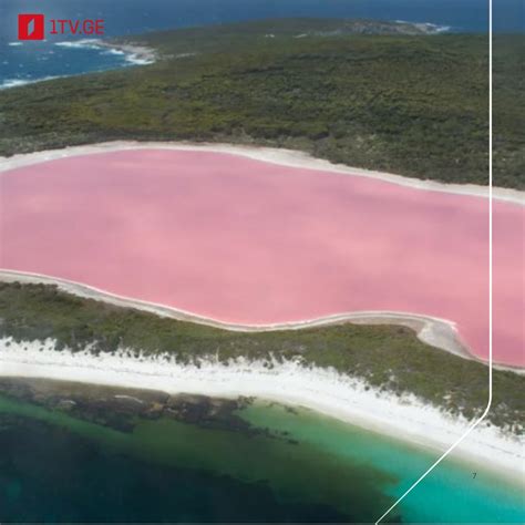 პირველი ჰილიერის ტბა ავსტრალია Facebook