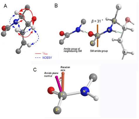A Conformation Of The Amide Part Of Sm In Bicelles Deduced From 1 H Download Scientific