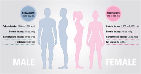 A Beginner S Guide To Tracking Macros SIXSTAR